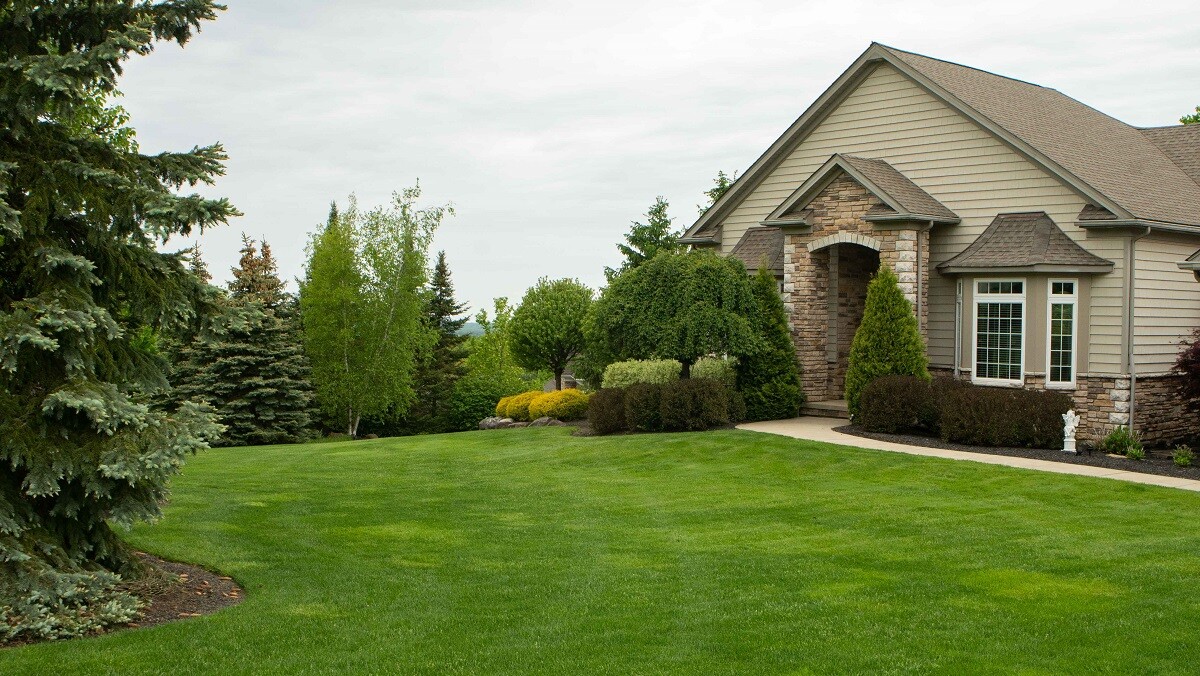 5 Tips to Choosing the Best Lawn Care Program For Your Lawn